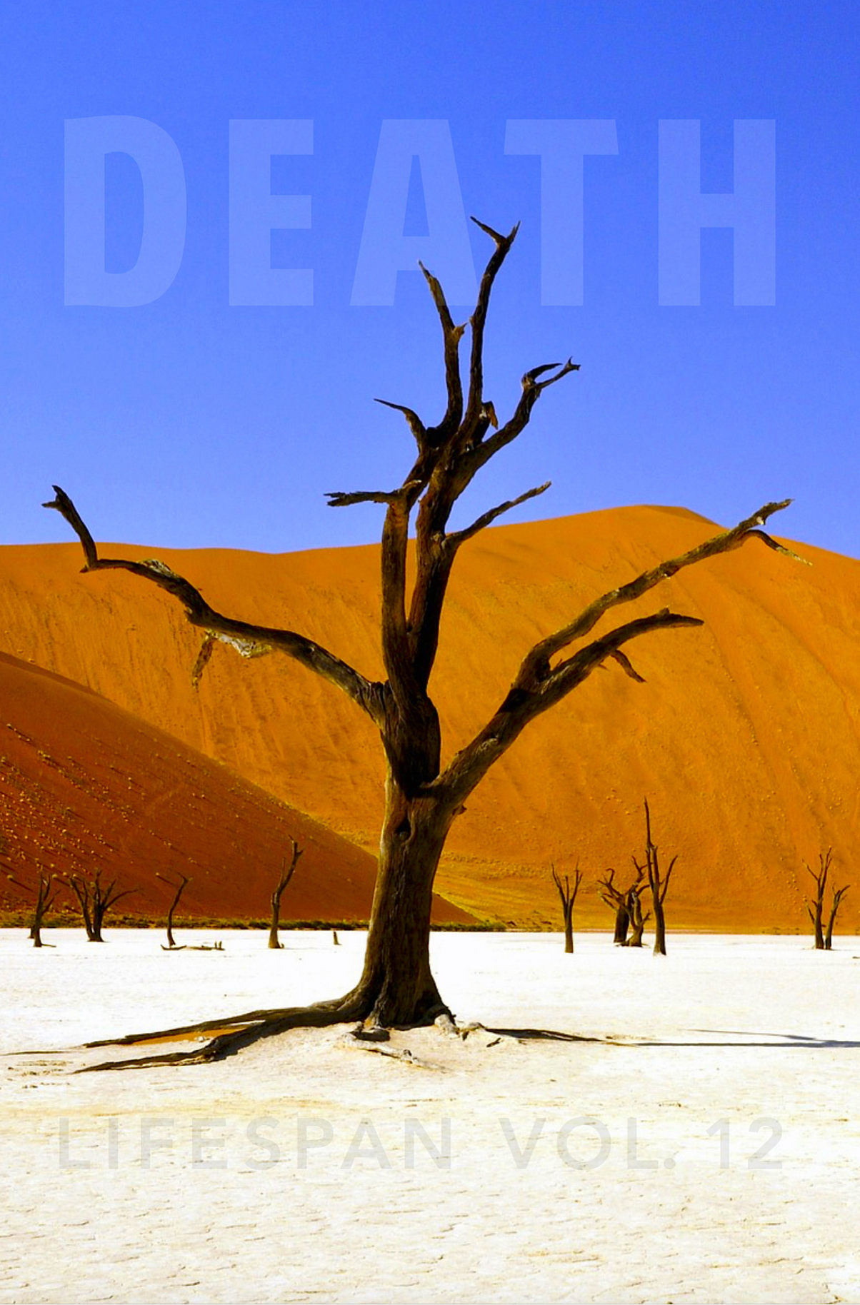 Latest News – PURE SLUSH … books • books • books • more books